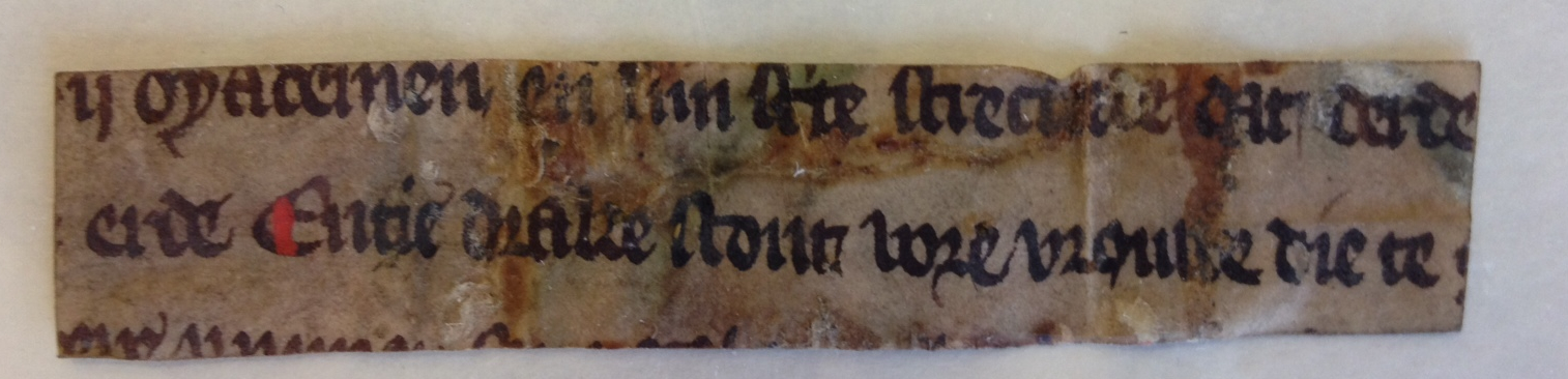 Life Beyond the Grave: The Leiden Apocalypse Fragments | medievalbooks