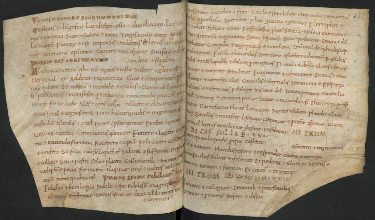 Half Full, Half Empty: The Peculiar Medieval Page | medievalbooks